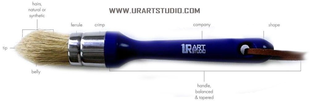 Paintbrush Anatomy – UrArtStudio