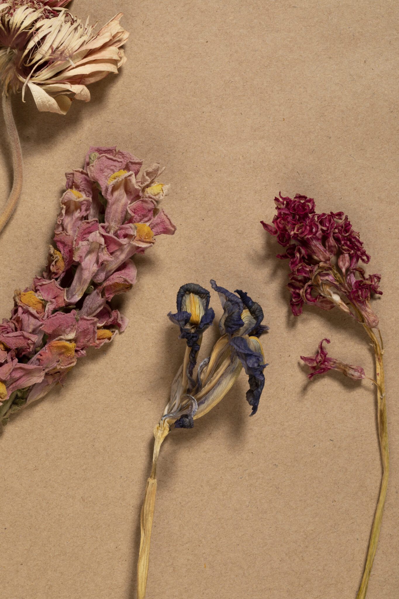 STAMPING WITH NATURAL OBJECTS - UrArtStudio