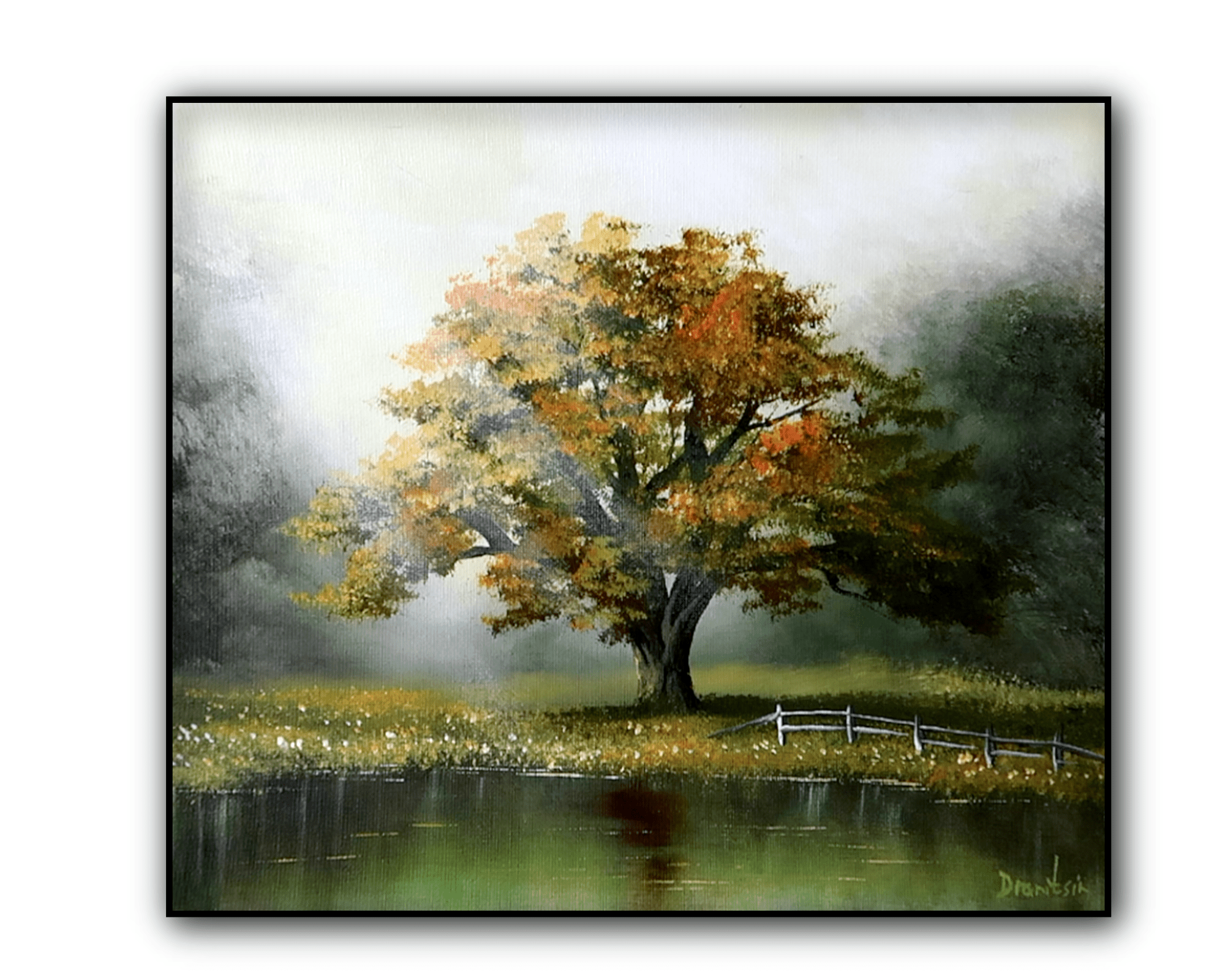 OAK TREE IN SUNLIGHT - UrArtStudio